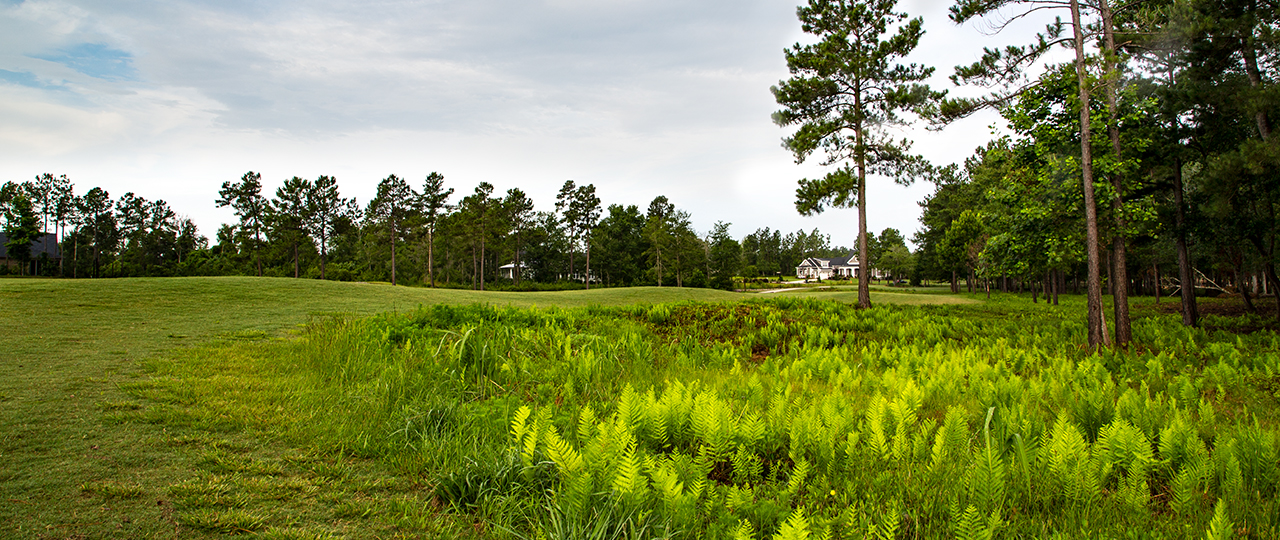 Highland Forest - Compass Pointe